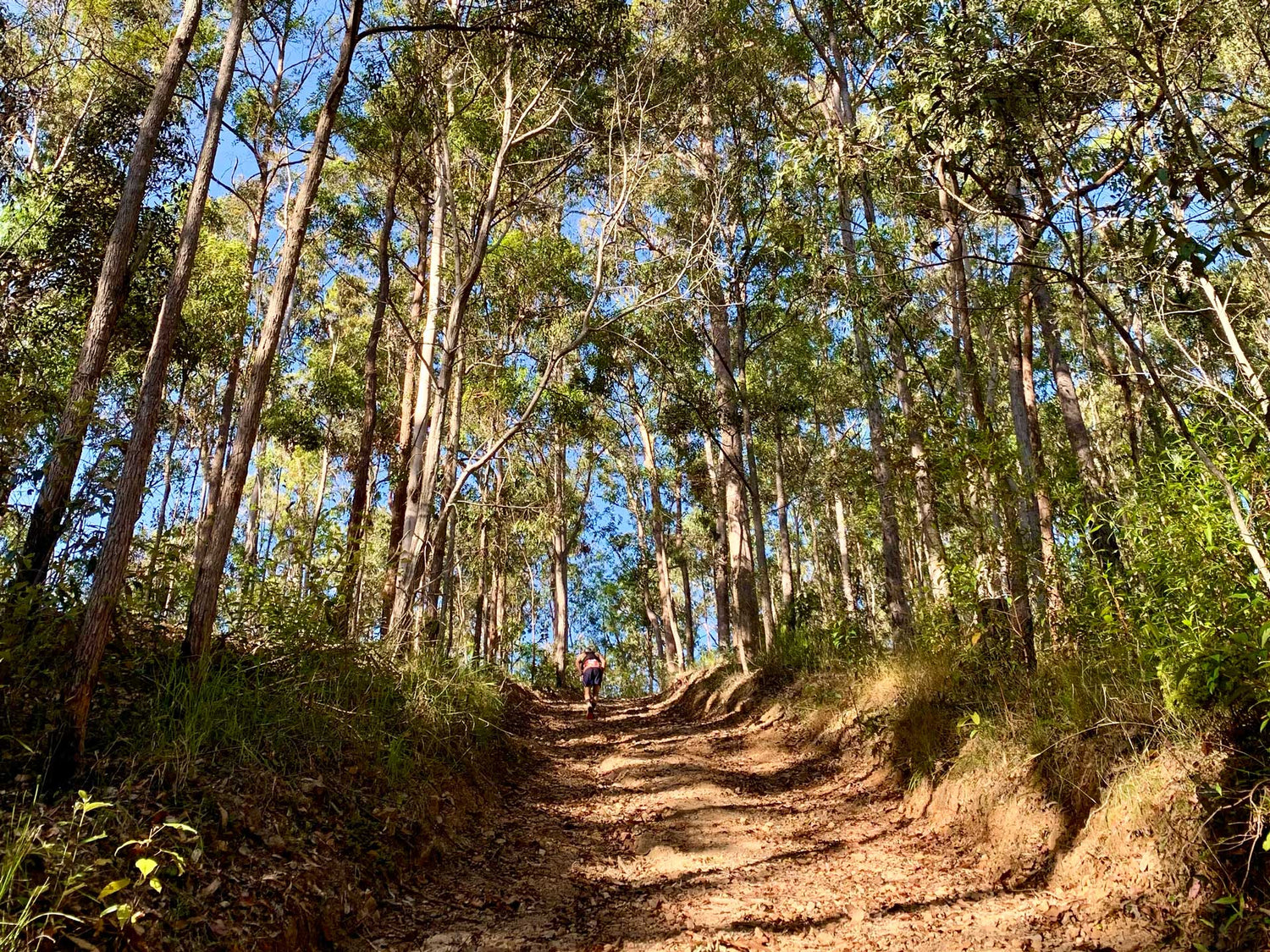 Brisbane's Trail Running Routes – The Trail Co.