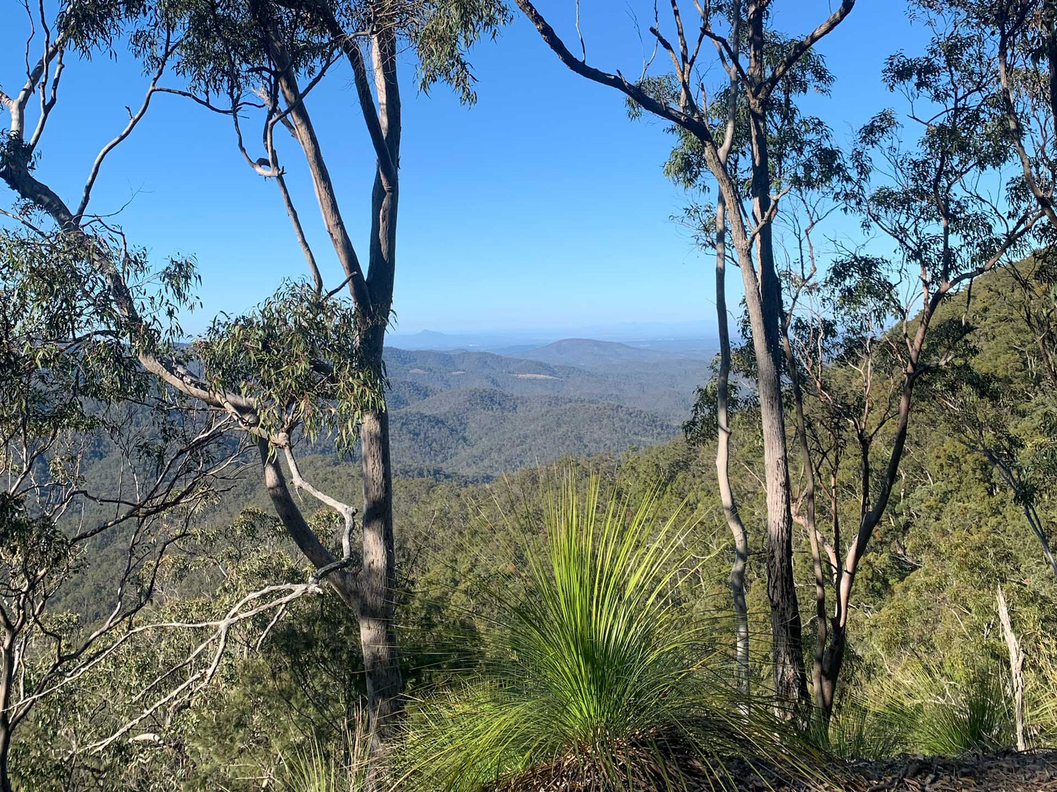 Brisbane's Trail Running Routes – The Trail Co.